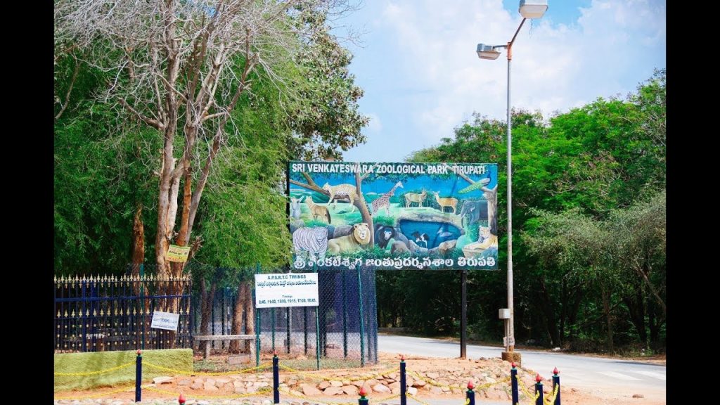 Tourist Attractions in Tirupati: A Complete Travel Guide